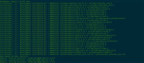 openeuler安装openssl Bzrael 博客园