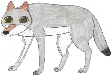 Canis Lupus By Rainforestwolf On Deviantart
