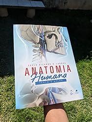 Anatomia Humana Texto E Atlas Amazon Br