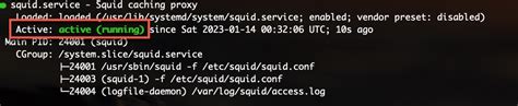 How To Setup Squid Proxy To Authenticate With Freeradius On Centos 7