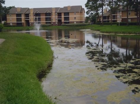 Stormwater Retention And Detention Ponds Agrarian Land And Pond