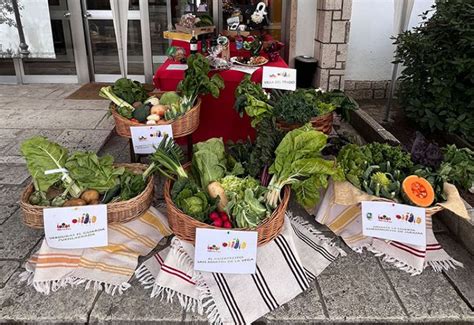 Mercado De La Cámara Agraria 7 De Febrero El Resurgir De Madrid