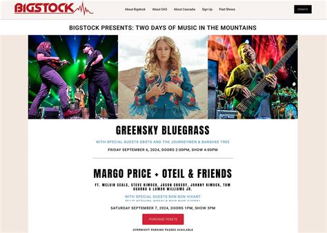 Bigstock Fundraiser Olsen Design Group