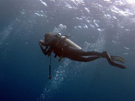 仇东平人物照集合5从容 人物集 海富瑜