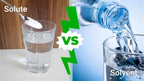 Solute And Solvent Examples