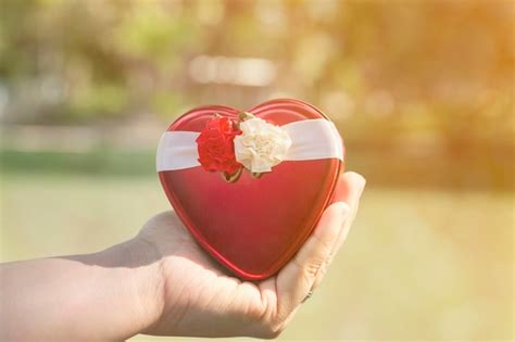 Premium Photo Close Up Of Hand Holding Heart Shape Container