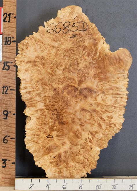 5a Cap Burl Maple Nwt 6685d