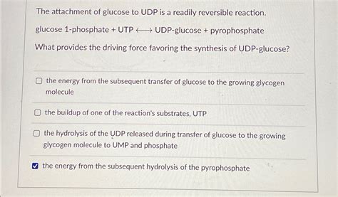 Solved The Attachment Of Glucose To Udp Is A Readily