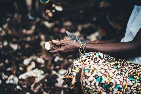Cassava Bread A Garifuna Staple In Belize