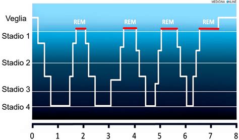 Differenze Tra Fase Rem E Non Rem Del Sonno R Medicinaonline