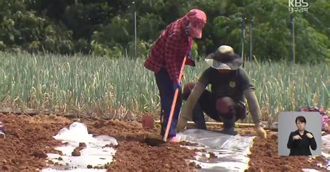 필리핀 계절근로자 파견 중단경북 농가도 ‘비상