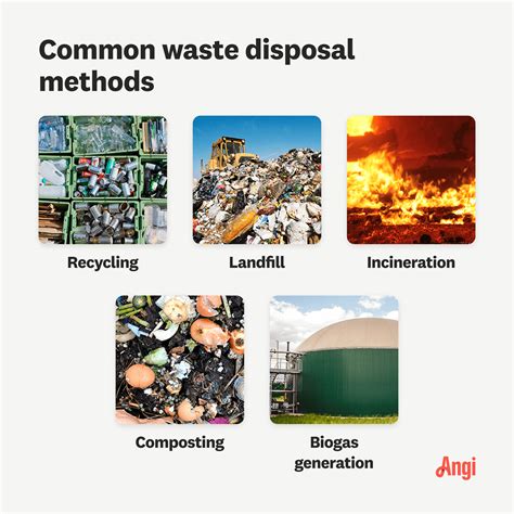 5 Waste Disposal Methods | Angi