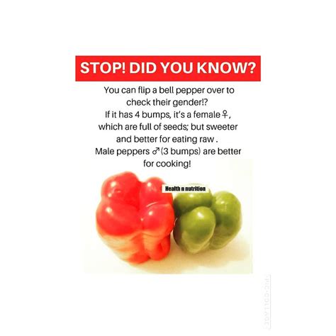 Capsicum Male Female Reumvegetable