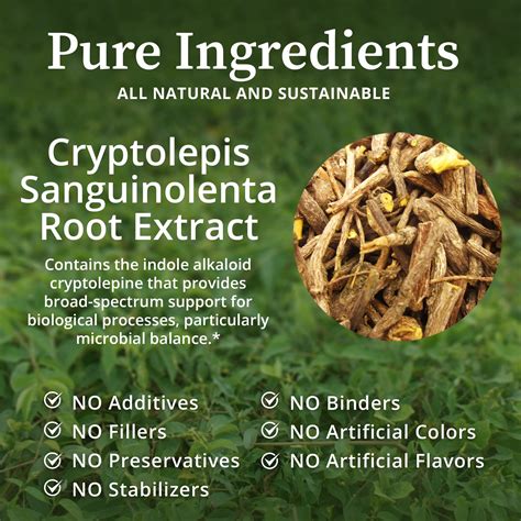 Cryptolepis Holistic And Functional Medicine Cryptolepis