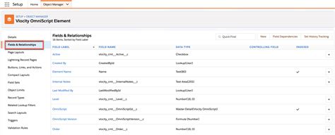 Adding Omniscript Elements To An Upgraded Org