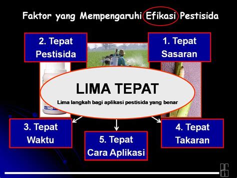 Balai Penyuluhan Pertanian Kecamatan Bpk Kecamatan Lenteng Kab