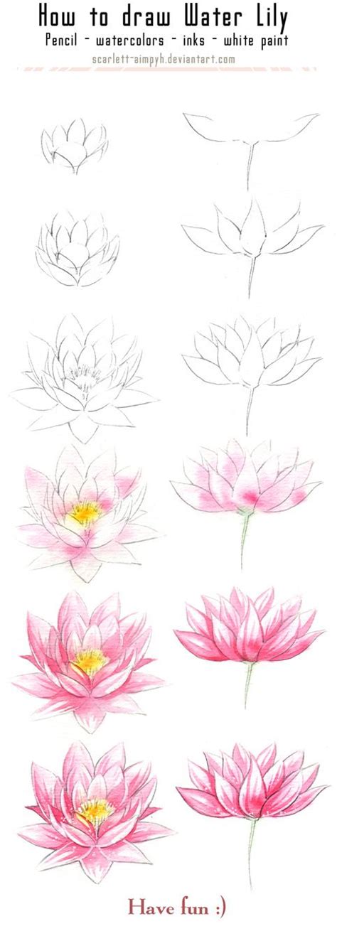 Apprendre A Dessiner Une Fleur
