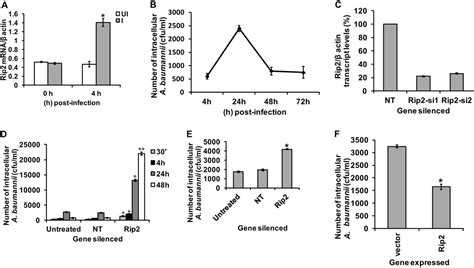 The Nod1 Nod2 And Rip2 Axis Contributes To Host Immune Defense