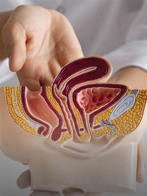 Boils On Buttocks What You Need To Know