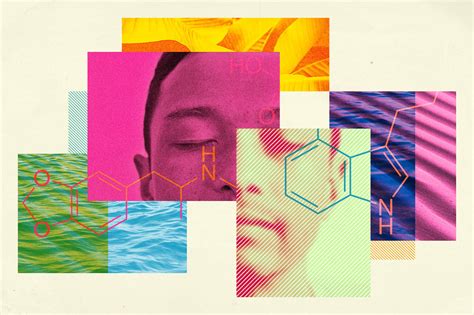 5 Amazing Insights From A Psychedelics Researcher Think Mushrooms