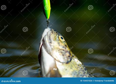 Fly Fishing Method For Catching Trout Fly Fishing Fishing