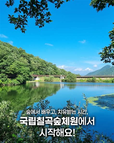 한국산림복지진흥원 🌿 가족과 함께 숲으로 힐링 여행 떠나볼래요 스마트폰을 내려놓고 진짜 ‘가족 시간을 만나보세요💚 💚 숲에서 오감으로 느끼는 힐링 💚 온전히 마주보며