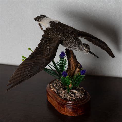 Redshank Taxidermy Bird Mount Mounted Stuffed Birds For Sale Real