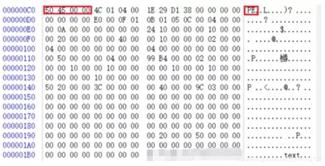 Pe文件结构详解 （完整版）pe结构图下载 Csdn博客