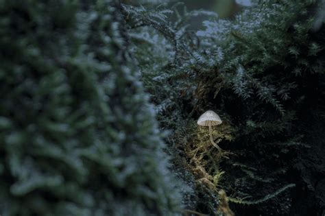 Corporate Training Strategy Aligning Goals And Execution Online Business School