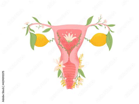 Female Reproductive System Vector Cute Illustration With Flowers Woman