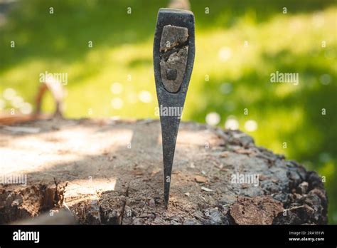 Tool For Splitting Wood Stuck In A Tree Stump An Ancient Homemade Axe