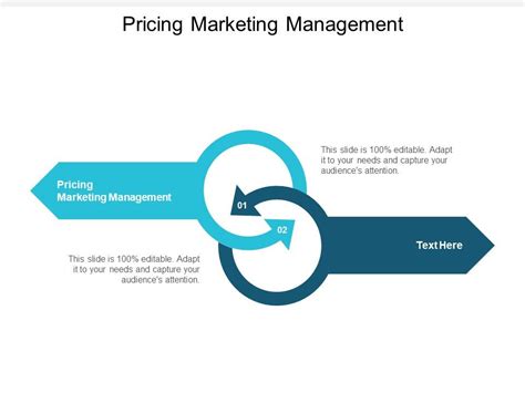 Pricing Marketing Management Ppt Powerpoint Presentation Model Graphics