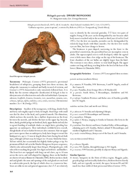 Pdf Helogale Parvula Dwarf Mongoose