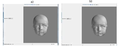 3 Mouth Correction Gui The Gui Allows An Operator To Adjust The Mouth