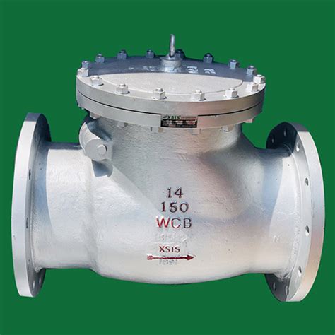 Xsis Non Return Valves Application Industrial At Best Price In