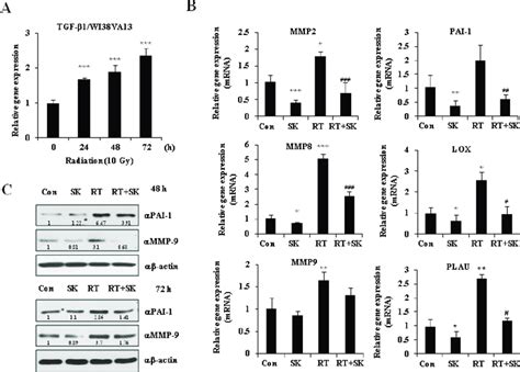 Ski2162 Sk An Inhibitor Of Alk5 Suppressed Radiation Induced