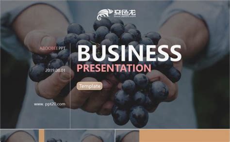 半价宽屏 16 9金色静态模板powerpoint 2013欧美通用计划总结故事ppt的课件图片 Ppt模板下载 变色龙ppt