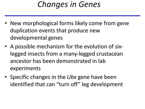 The Cambrian Explosion Ppt Download