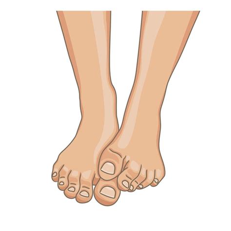 Barefoot Clip Art Bare Feet Png Vector Psd And Clipart With