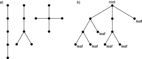 3 trees a examples of non isomorphic trees b a tree with a root and