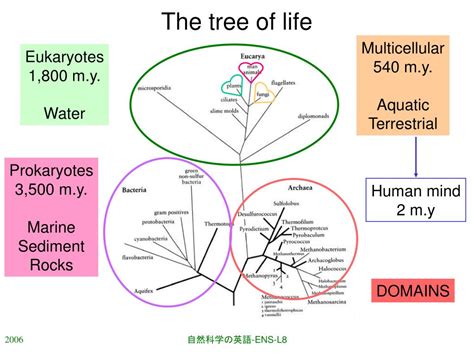 Ppt Biodiversity Evolution L8 Powerpoint Presentation Free