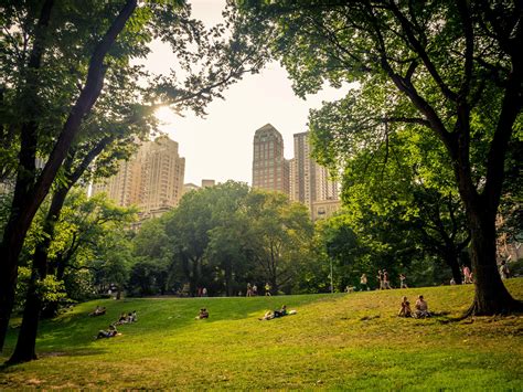 Youll Feel Better If You Go Outside The New Yorker