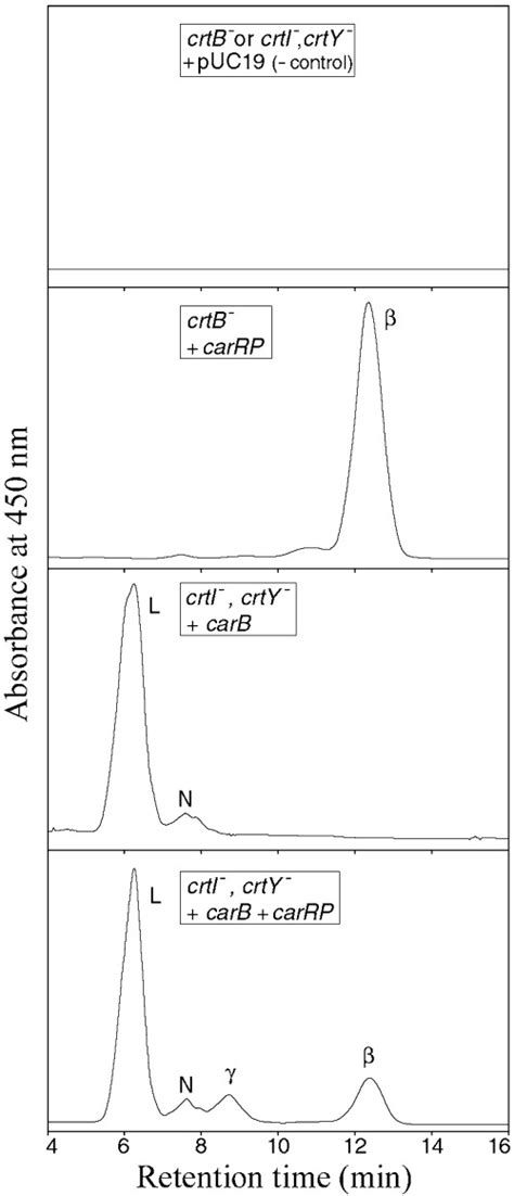 Hplc Elution Profile Of Carotenoids Produced In Several Transformants Download Scientific
