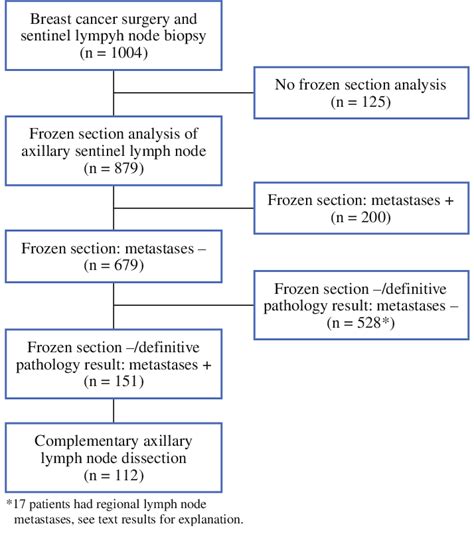 Summary Of Axillary Lymph Node Staging Download Scientific Diagram