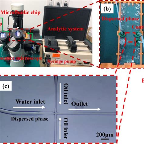 Double Emulsions A Schematic Diagram Of Double Emulsion Single