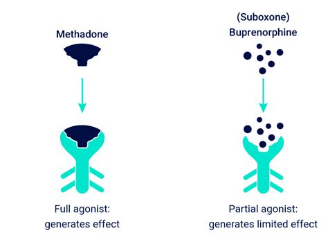 Methadone Vs Suboxone Treatment Choose Wisely [20 Comments