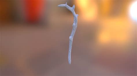 Branchette 3d Model By Daikuran F1bb15a Sketchfab