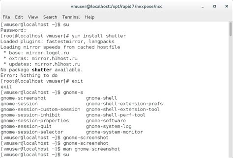 Repid7 Nexpose 18 Alexander V Leonov