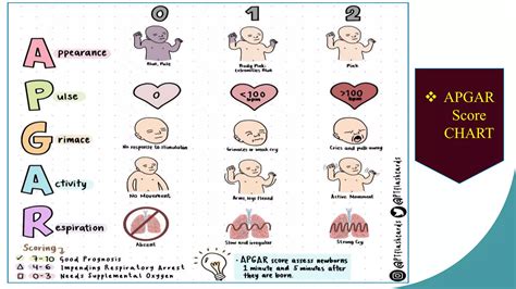 Apgar Score Pptx