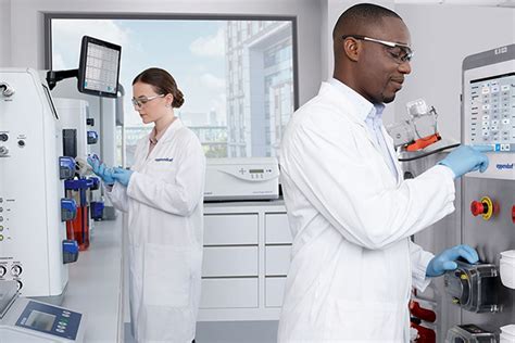 Cell Culture Bioprocess Scale Up Workflow From Bench To Pilot